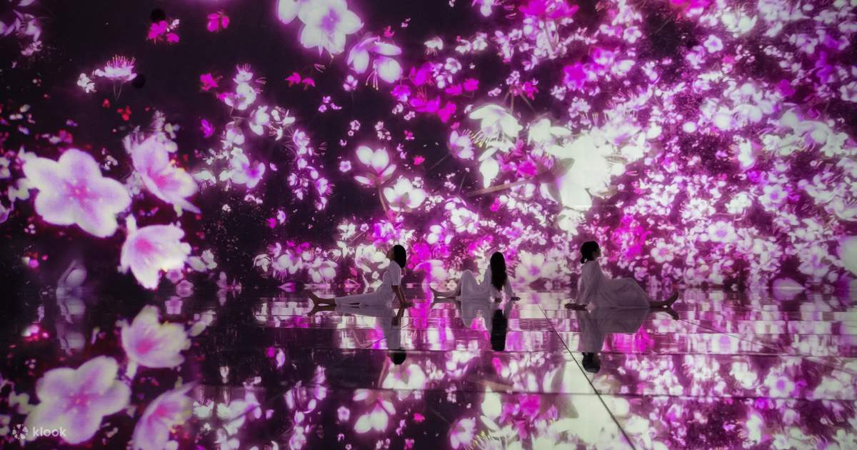 teamLab Planets TOKYO DMM Ticket - Klook